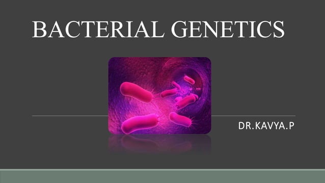 Bacterial genetics | PPT