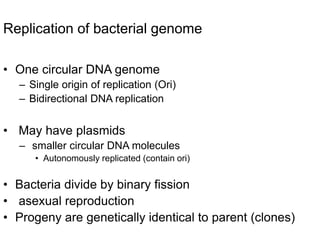 Bacterial genetics | PPT