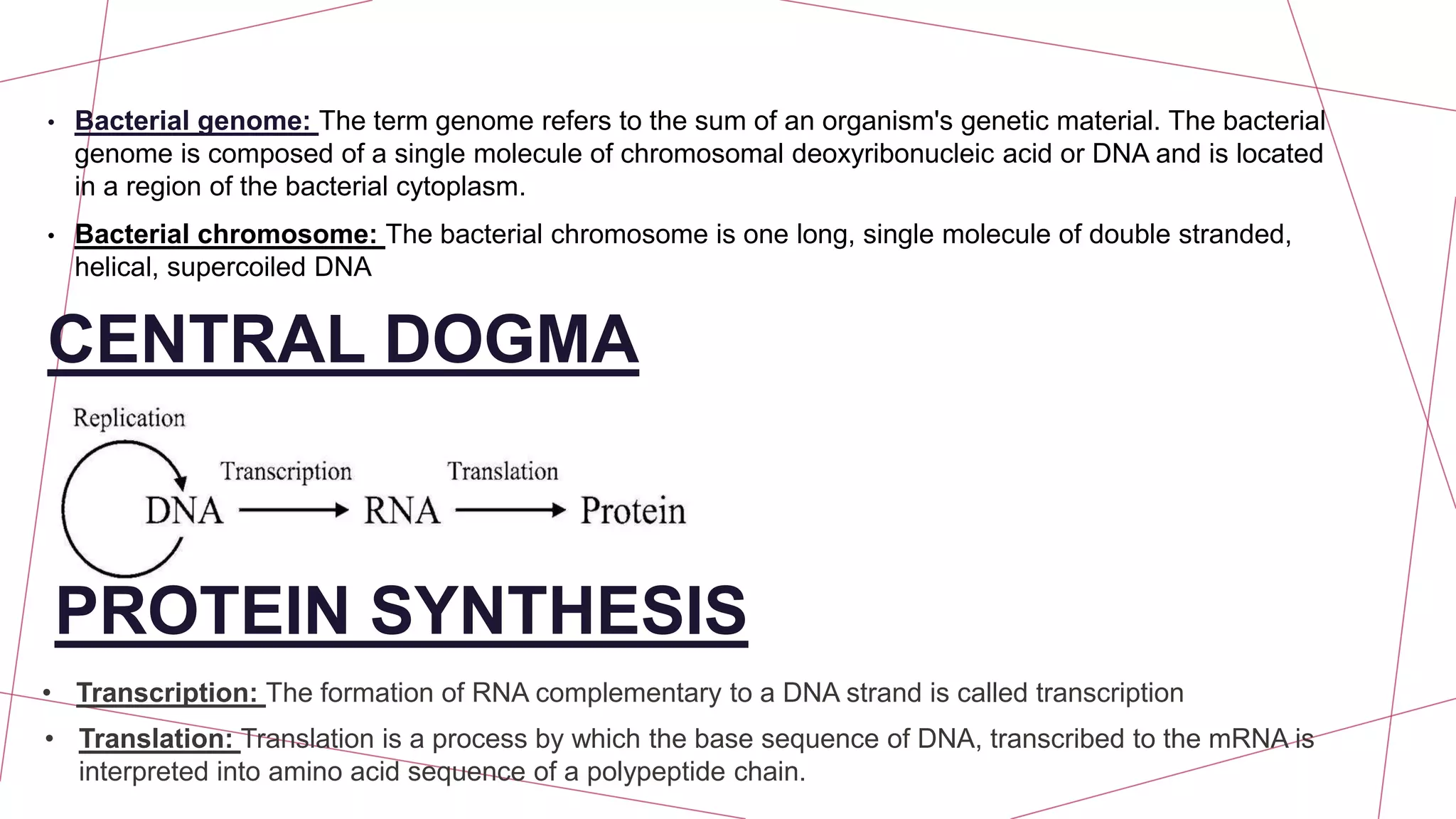 Bacterial Genetics System | PPTX