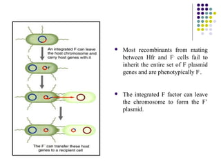 bacterialgeneticsystemfinal-151114160717-lva1-app6891.pdf
