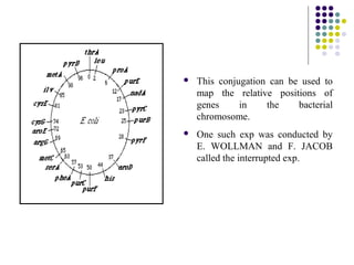 ppt of Bacterial genetic system | PPT