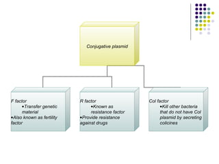 ppt of Bacterial genetic system | PPT