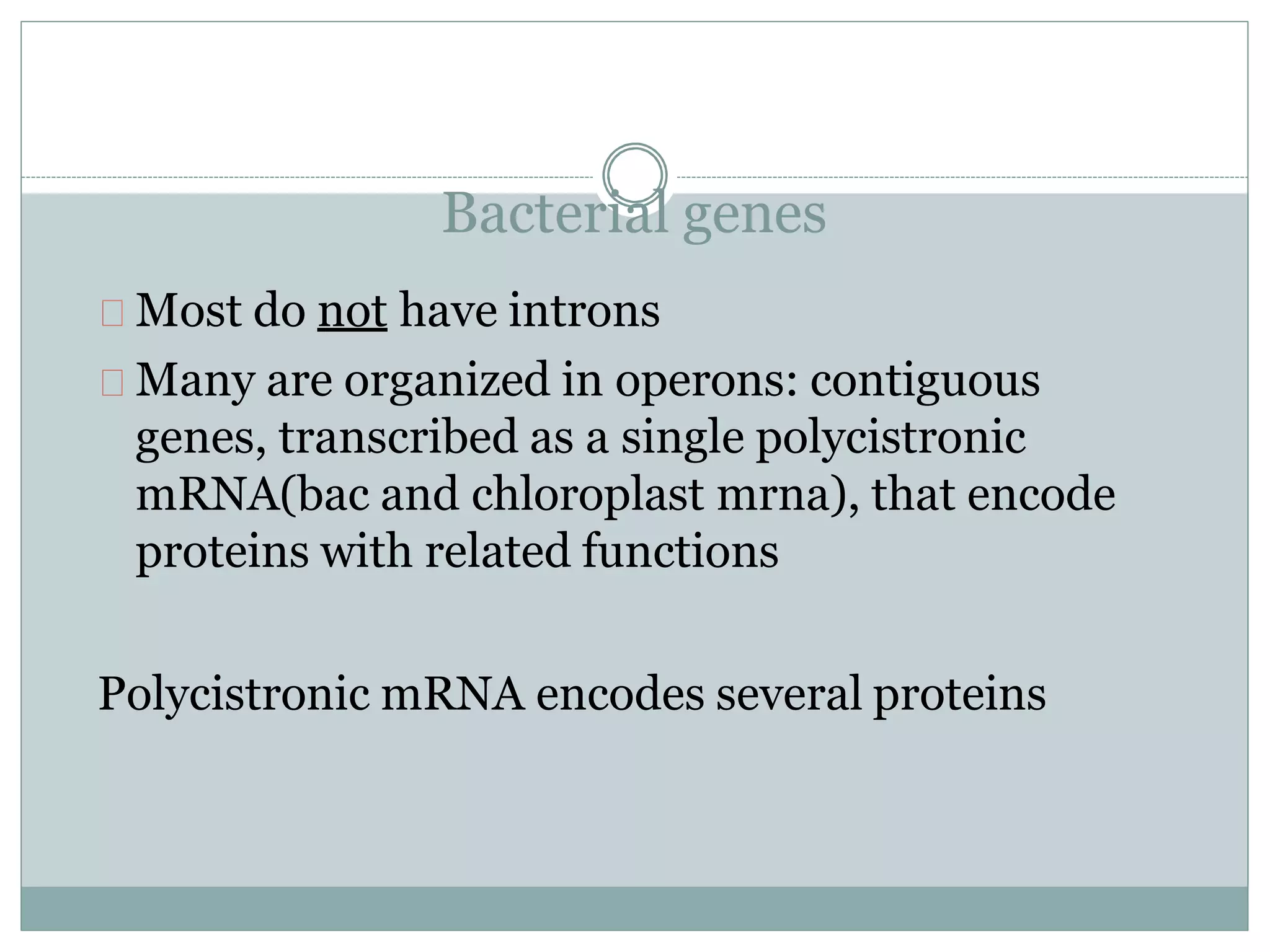 bacterial genome organization.pptx
