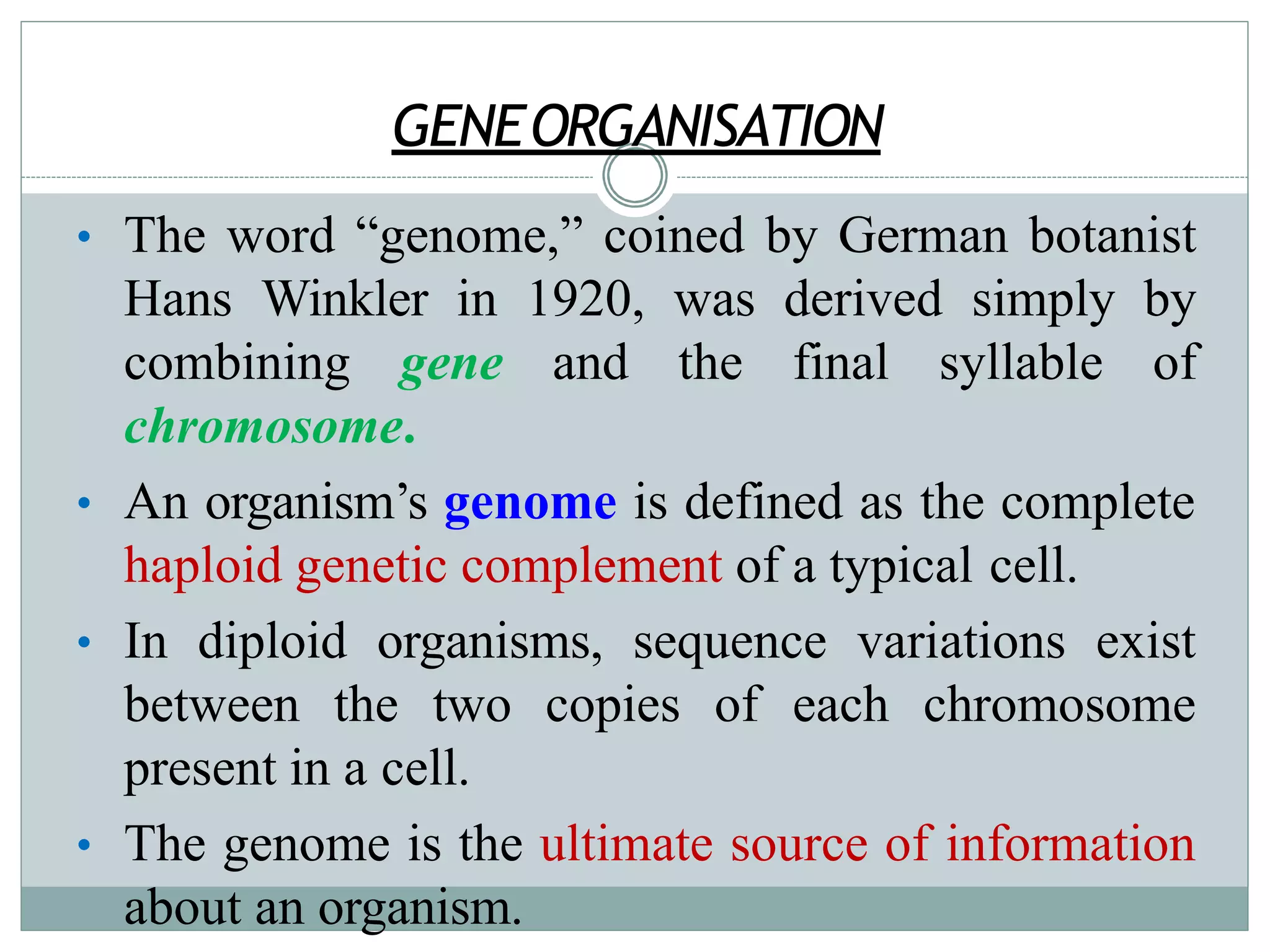 bacterial genome organization.pptx