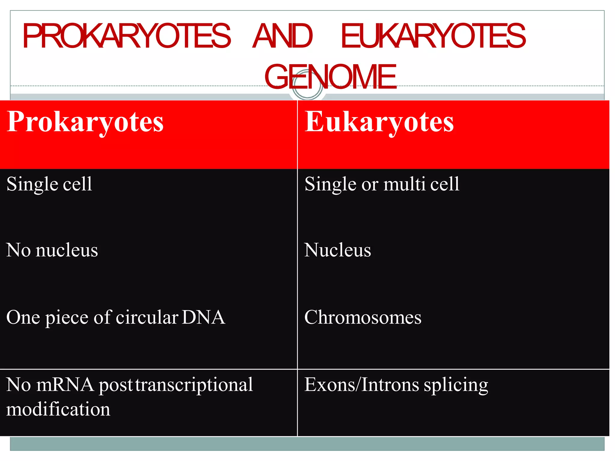 bacterial genome organization.pptx