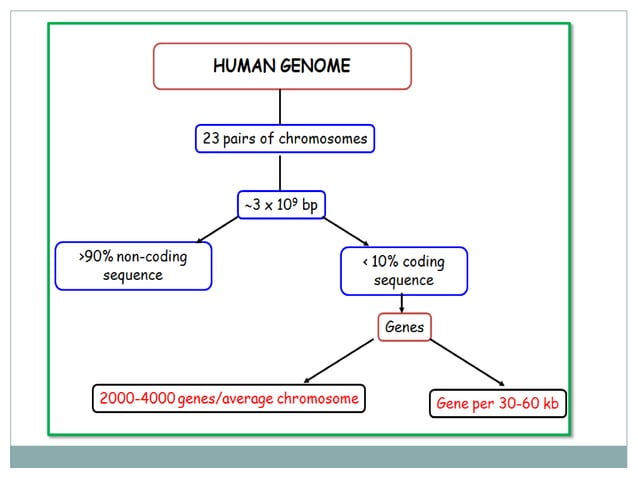 bacterial genome organization.pptx | Biological Sciences | Science