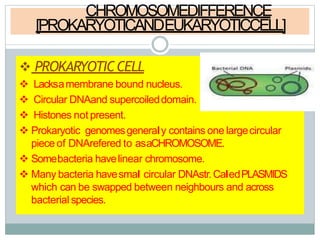 bacterial genome organization.pptx