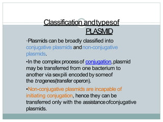 bacterial genome organization.pptx
