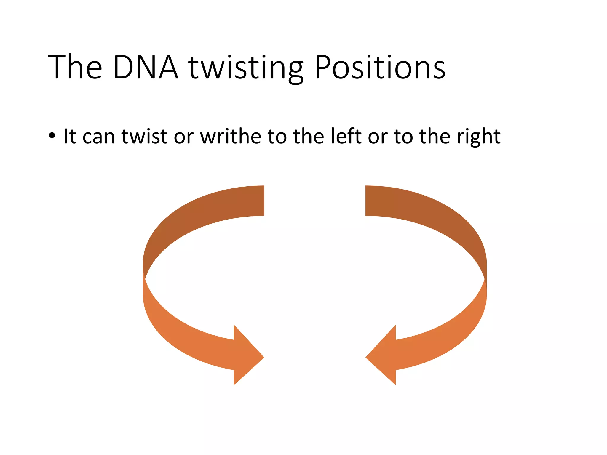 Bacterial genomic organization | PPTX
