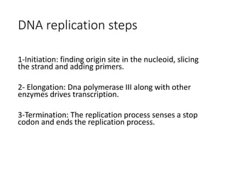 Bacterial genomic organization | PPTX