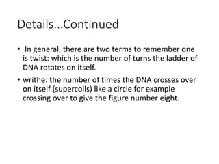 Bacterial genomic organization | PPTX