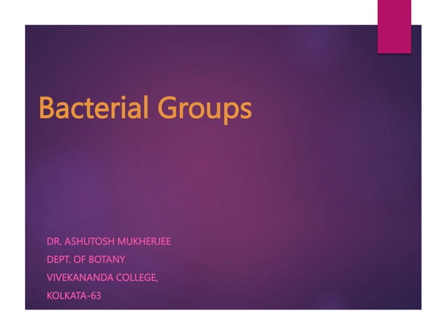 Bacterial Groups.pptx