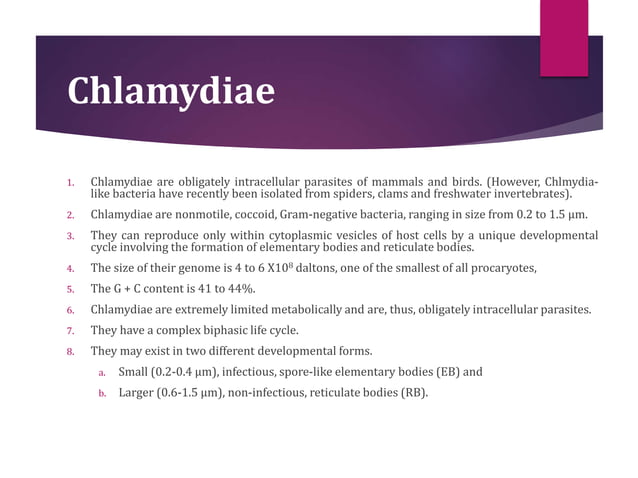Bacterial Groups.pptx