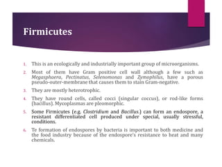 Bacterial Groups.pptx