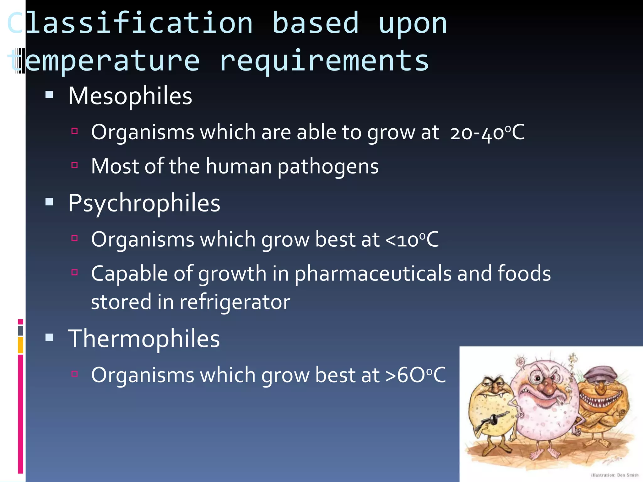 Bacterial Growth | PPT