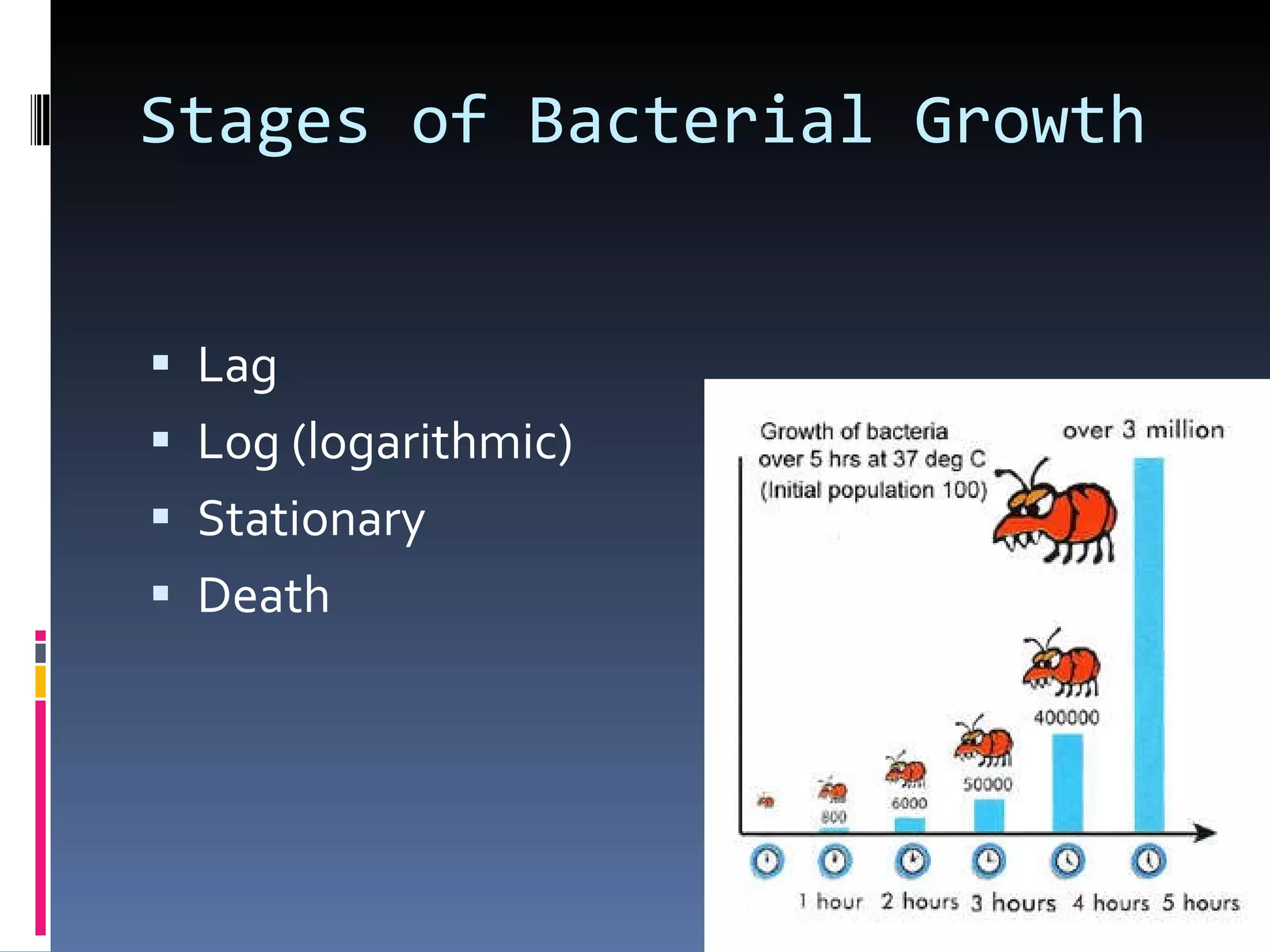 Bacterial Growth | PPT
