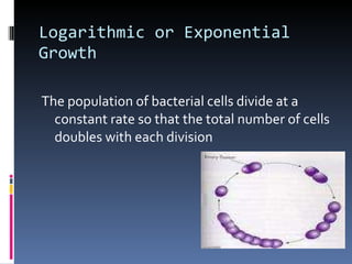 Bacterial Growth | PPT