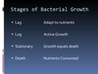 Bacterial Growth | PPT