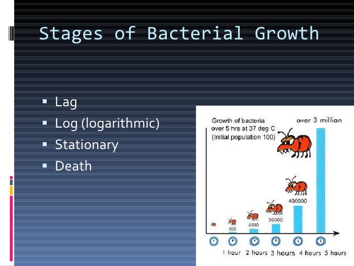 Bacterial Growth