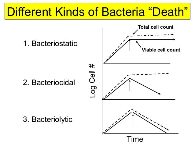Bacterial growth