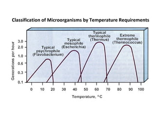 Bacterial growth | PPT