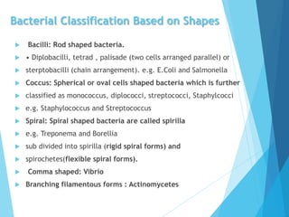Bacterial growth | PPTX