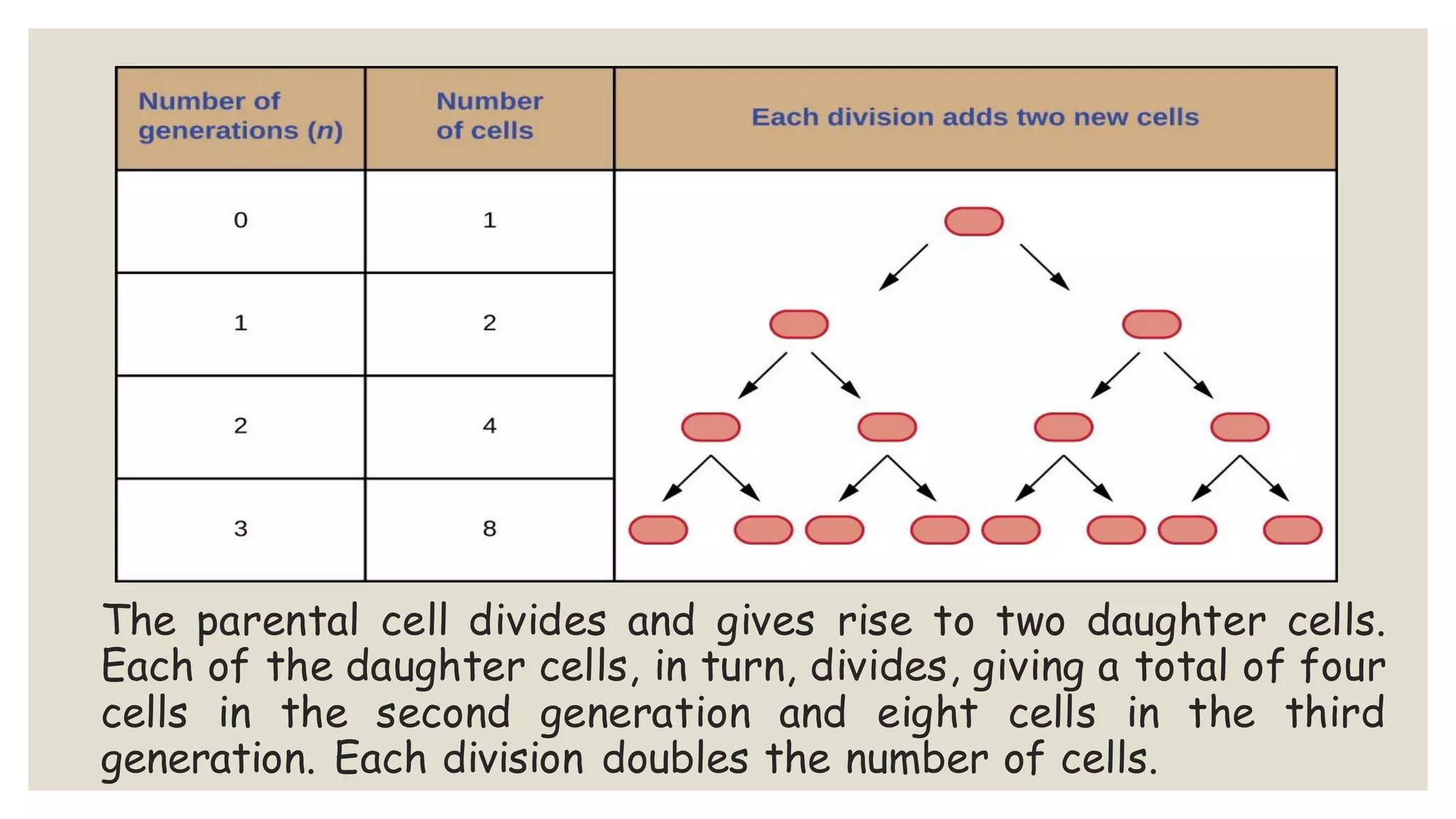 BACTERIAL GROWTH AND BINARY FISSION.pdf