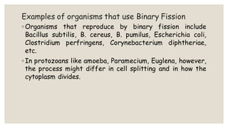 BACTERIAL GROWTH AND BINARY FISSION.pdf