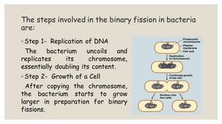 BACTERIAL GROWTH AND BINARY FISSION.pdf