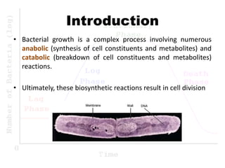 Bacterial growth.pptx