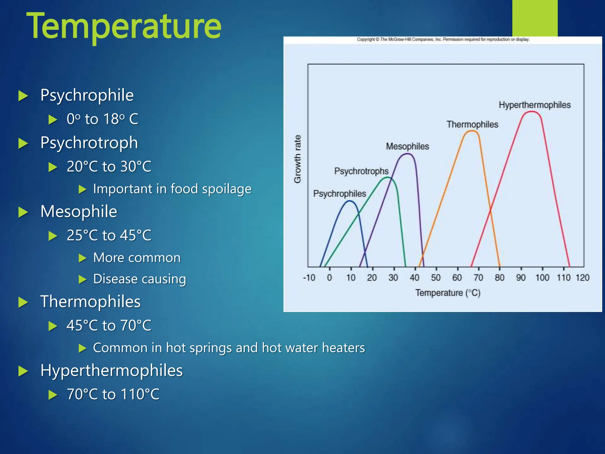 bacterial growth microbiology presentation | PPTX | Biological Sciences ...