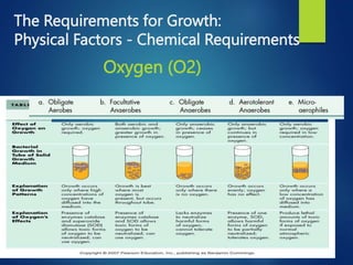 bacterial growth microbiology presentation | PPTX | Biological Sciences ...