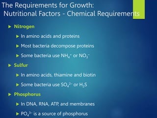bacterial growth microbiology presentation | PPTX | Biological Sciences ...
