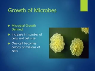 bacterial growth microbiology presentation | PPTX | Biological Sciences ...