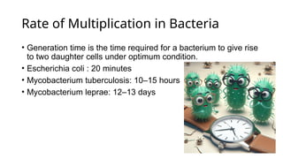 Bacterial Growth.pptx growth of bacteria | PPTX