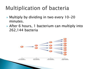 Bacterial growth and food poisoning | PPTX