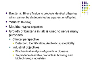 Bacterial Growth And Metabolism | PPT