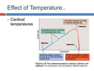 bacterial growth charactrstics.pptx Mbbs | PPTX