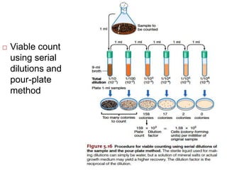 bacterial growth charactrstics.pptx Mbbs | PPTX