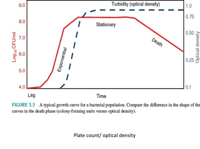Bacterial growth curve monods equation | PPTX | Biological Sciences ...