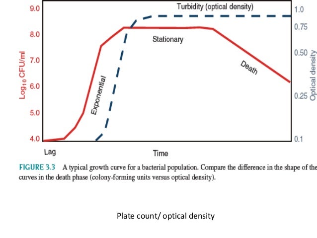 Bacterial growth curve monods equation