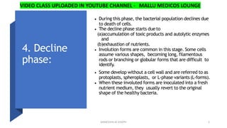 Bacterial growth curve | PDF