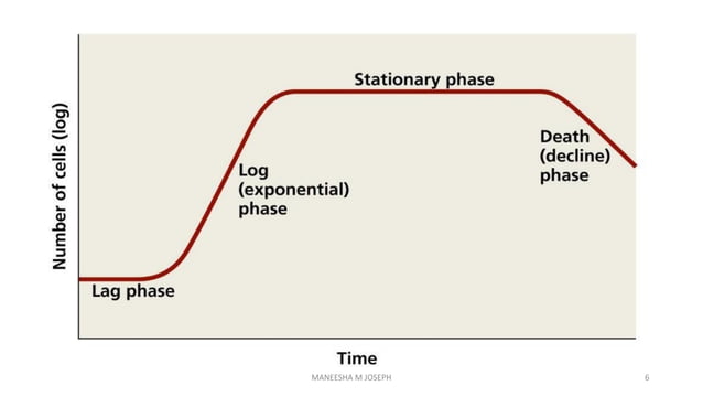 Bacterial growth curve | PDF | Biological Sciences | Science