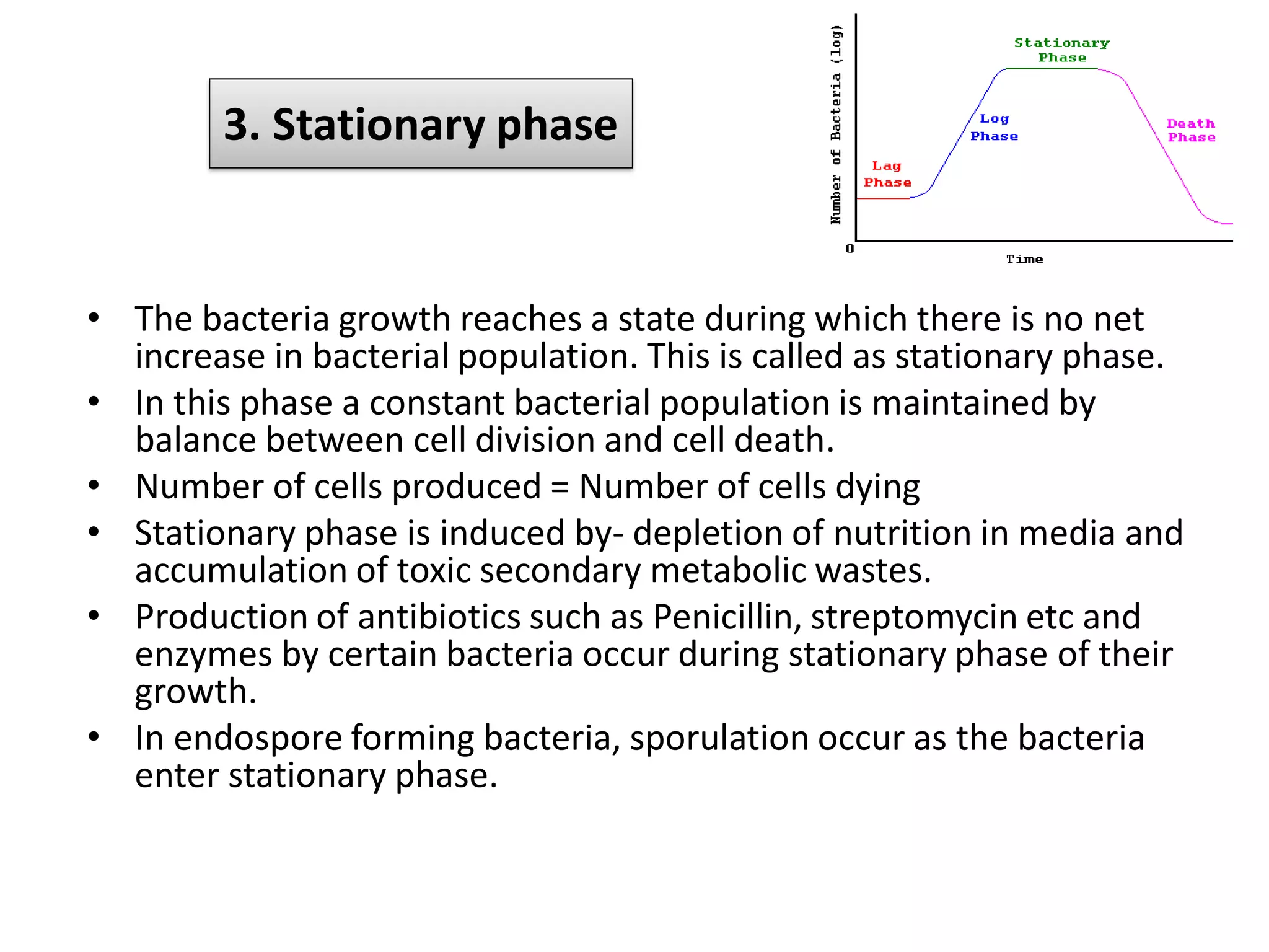 Bacterial growth curve | PDF
