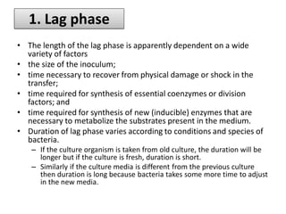 Bacterial growth curve | PDF