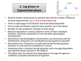 Bacterial growth curve | PDF
