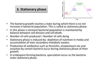 Bacterial growth curve | PDF