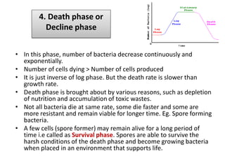 Bacterial growth curve | PDF