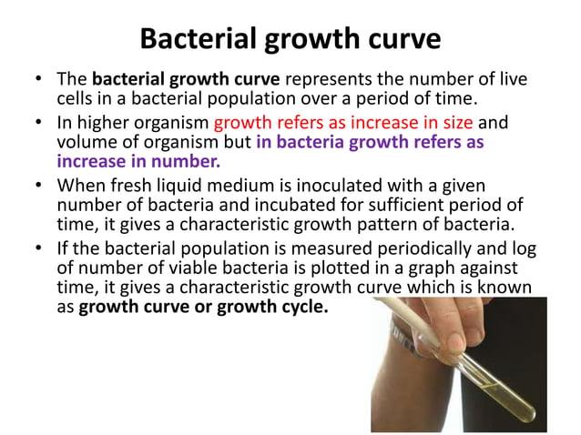 Bacterial growth curve | PDF