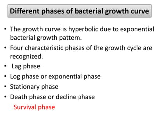 Bacterial growth curve | PDF